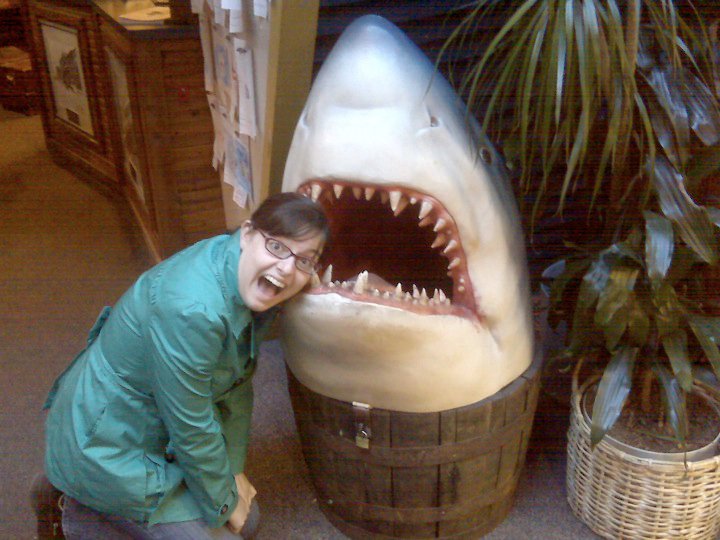 Shark – Mandy Pennington